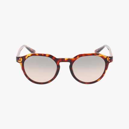 LUNETTES DE SOLEIL Afflelou CANTABRIA écaille - Afflelou